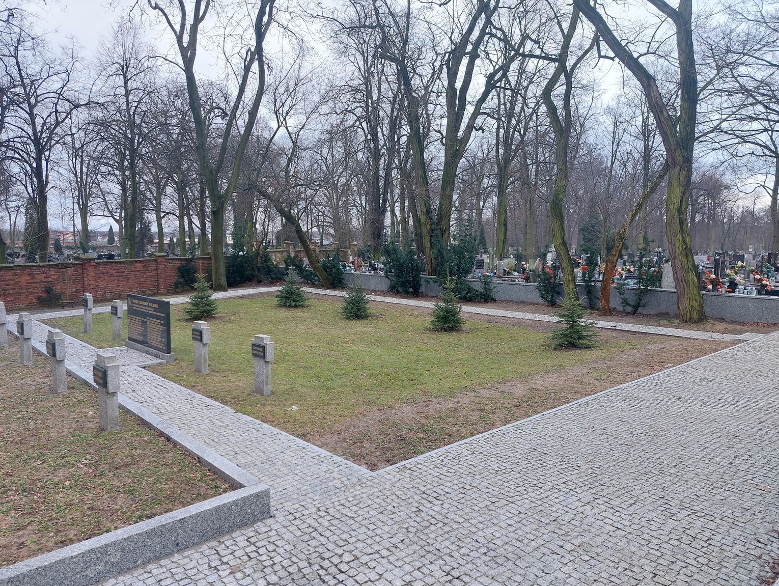 Świąteczne drzewka trafiły na skwery Świąteczne drzewka trafiły na skwery